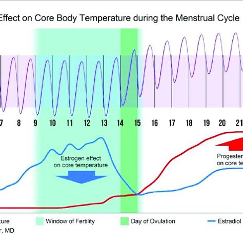 Continuous Core Body Temperature CCBT Collected During The Menstrual Download Scientific