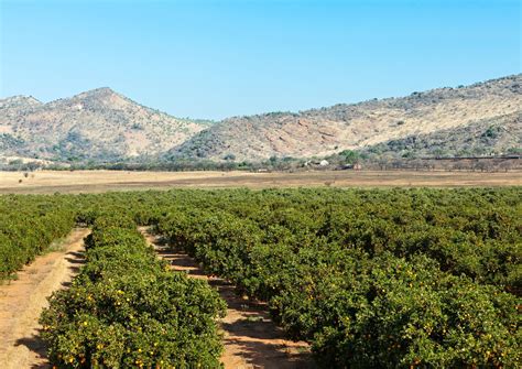 Rustenburg Travel Articles