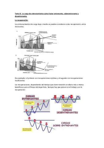 Plani 2021 2o Parte Pdf
