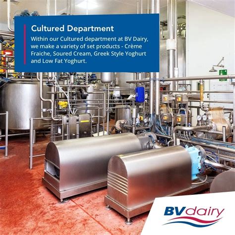 Dairyprocessing Process Dairyproducts Dorsetbusiness Yogurt Bv