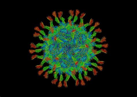 Polio Cell Structure Polio Cell Structure