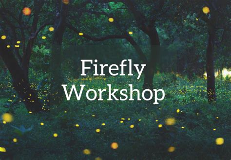 fireflies workshop new delhi nature society