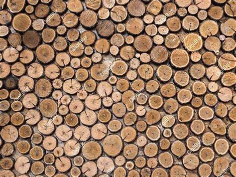 عکس پس زمینه تنه درخت دیجیت باکس Digitbox