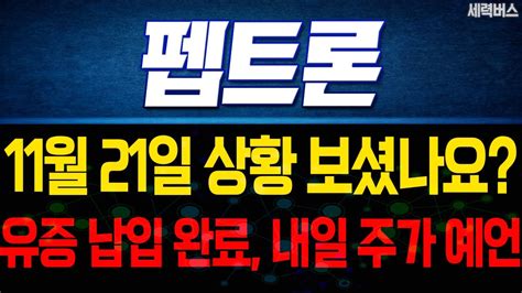 펩트론 주가 전망 기업설명회ir 후기 유증 납입 완료 후 시간외 특이한 움직임이 나왔죠 내일 주가 예언합니다 11월 21일 방송 유증일정마무리 Youtube