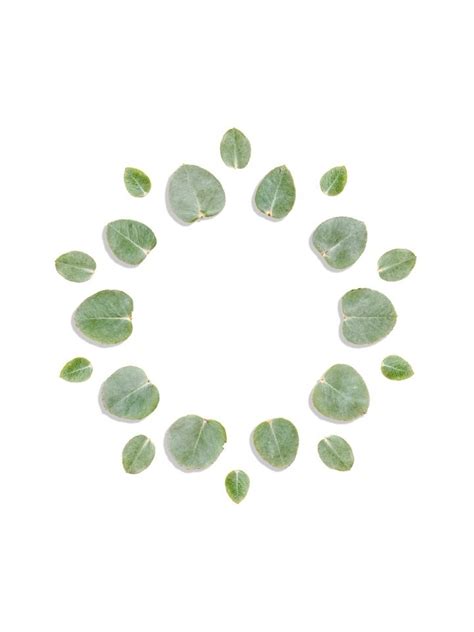 Đức Thắng Ducthangds • Instagram Photos And Videos