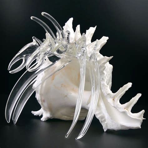 Hermit Crab Shells Glass Etsy