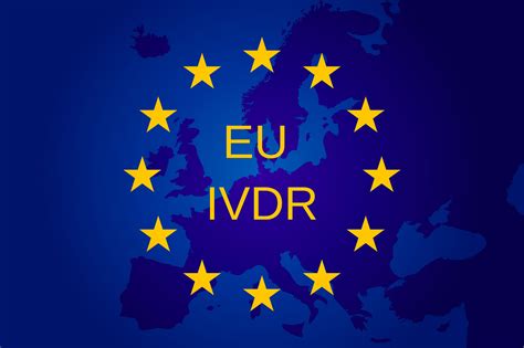 Eu Ivdr Language Requirements And Languages In Each Eu Member State