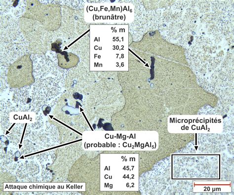 Ccdmd Bibliothèque Dimages Métallographiques