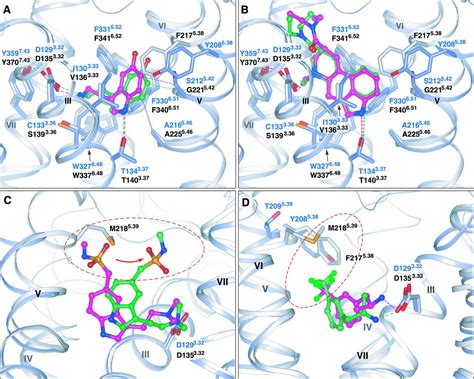 Structural Basis For Molecular Recognition At Serotonin Receptors Science