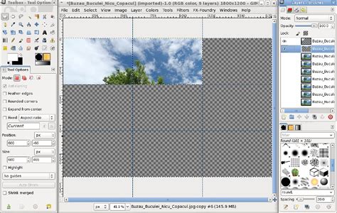 Nicu S How To Custom Grids With GIMP