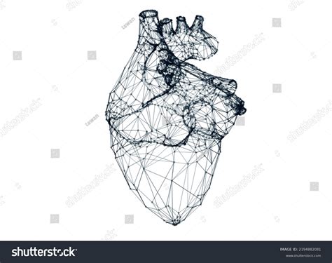 인간 심장 엑스레이 홀로그램 3d 렌더링 스톡 일러스트 2194882081 Shutterstock