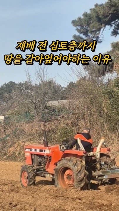 정식 전 토양 심토층까지 갈아엎어야하는 이유 Youtube
