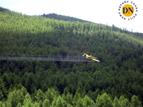 Богдхан уулын дархан цаазат газрын 3000 га газарт ойн хөнөөлт хортон