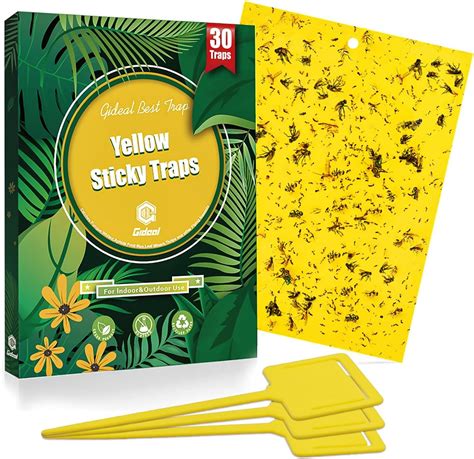 30 Pack Dual Sided Yellow Sticky Traps For Indoor Outdoor Flying Plant