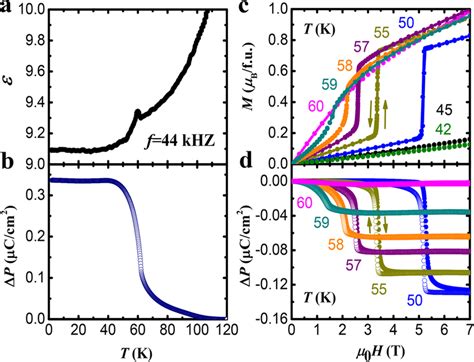 Magnetically Induced Electric Polarization And The Metemagnetic