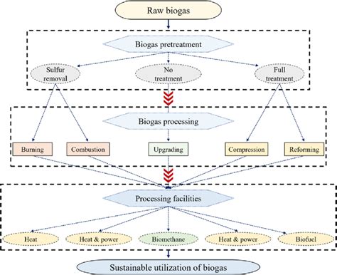 Sustainable Biogas Utilization Pathways For Bioenergy Production