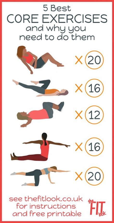 Core Exercises For Beginners Artofit