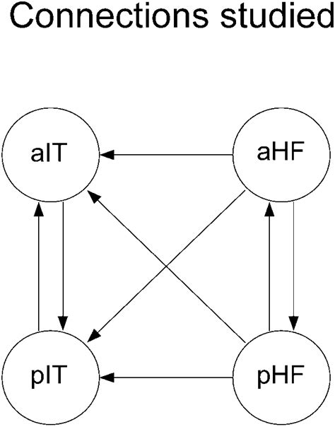 Connections Studied In The Present Experiment Ait Anterior