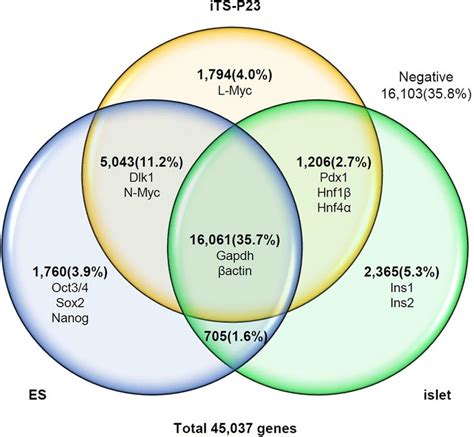 Microarray Total Rna From Es Cells Its P Cells Or Islets Was Labeled