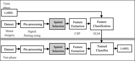 Bci Flow Chart Proposed System Download Scientific Diagram