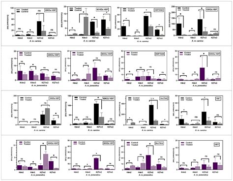 Linking Histone Methylation States And Hsp Transcriptional Regulation