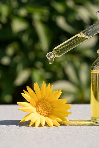 자연 배경으로 녹색 잎에 대한 금송화 기름의 방울과 피펫 집에서 천연 화장품 만들기 스킨케어용 허브 코스메틱 오일 또는 아로마테라피용 에센셜 오일 세로 이미지 0명에 대한