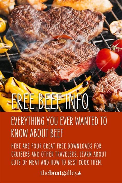 Beef Cuts 101 Your Guide To Understanding Different Cuts Of Beef