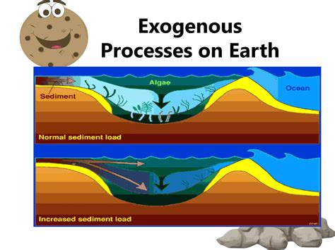 Exogenous Processes On Earth Pptx