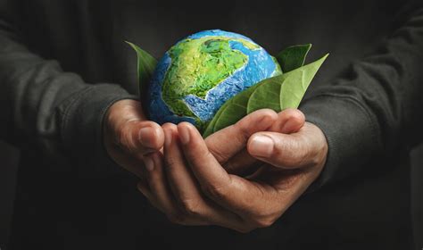 Sustentabilidade Ambiental Nas Empresas Aprenda A Aplicar