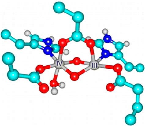 锰过氧化氢酶的锰氧化状态分配 Journal of the American Chemical Society X MOL