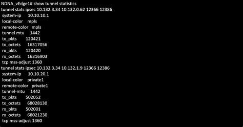 Cisco Viptela Sdwan Troubleshooting Commands For Control Plane Omp