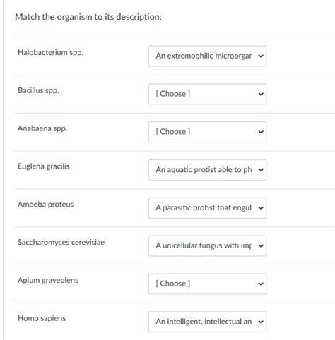 Match The Organism To Its Description Halobacterium