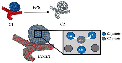 Nested Contrastive Boundary Learning Point Transformer Self Attention Regularization For 3d