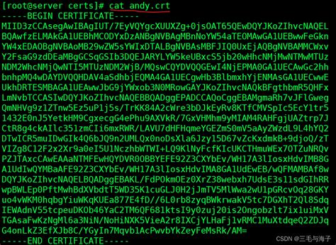 Linux 进阶 Web服务器 搭建基于 HTTPS 协议的静态网站 实验实操