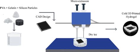 Silicon Enriched Polyvinyl Alcoholgelatin Hydrogels For 3d Printed Inks Acs Applied Polymer