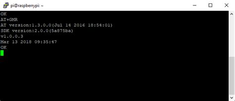 How To Use The ESP For Wireless Communication With Arduino And Raspberry Pi ESP