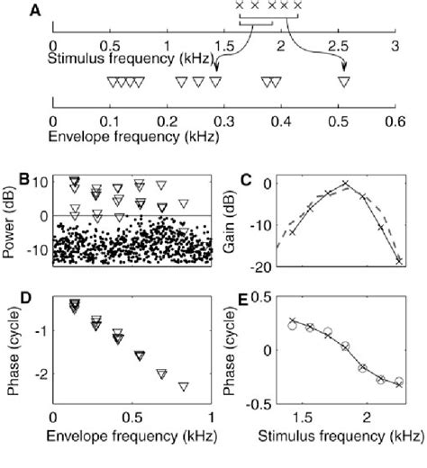 Figure 1 From Cochlear Phase And Amplitude Retrieved From The Auditory