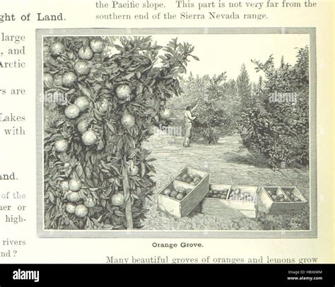 Image From Page 52 Of Primary Geography Providing A Basic Introduction To Geographical