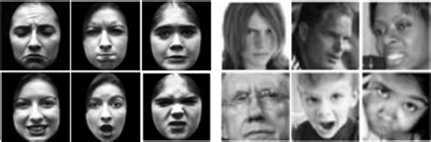 Ck Dataset And Fer2013 Dataset Download Scientific Diagram