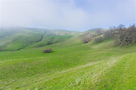시에라 비스타 오픈 공간 보존 사우스 샌 프란 시스 코 베이 캘리포니아의 언덕에 안개가 하루 0명에 대한 스톡 사진 및 기타