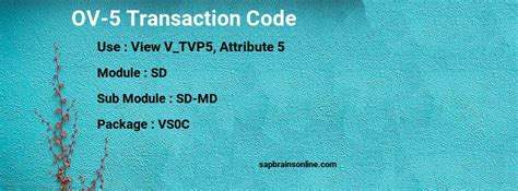 Ov 5 Sap Tcode For View Vtvp5 Attribute 5