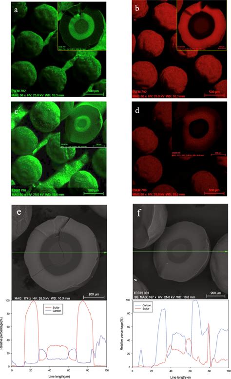 Sem Analyses And Line Scan Image From The Post Leaching Af 5 And