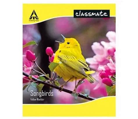 Printed Paper Classmate A4 Size Notebook Pack Of 8 172 Pages Sheet Size 240 X 180 Mm At ₹ 580