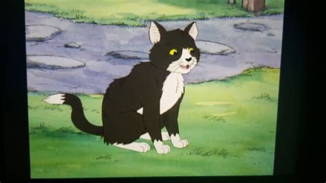 Cat Little Bear Sing A Song Youtube