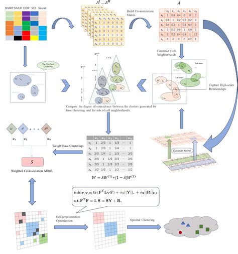 Figure 1 From Scewe High Order Element Wise Weighted Ensemble Clustering For Heterogeneity