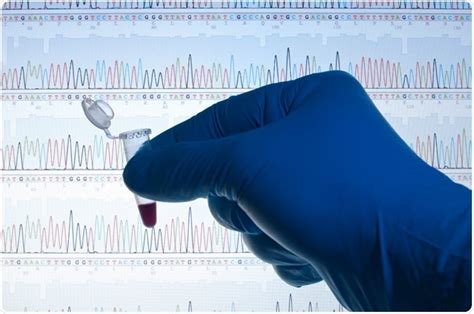 What Is Satellite Dna