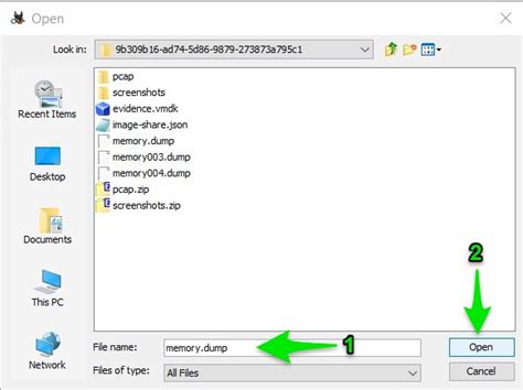 Making Downloading And Analyzing A Memory Dump Memorydumpvm