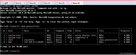 Mysqlkeepalivelvs搭建的数据库集群实验keepalive Lvs Mysql Csdn博客