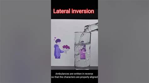 Amazing Science Experiment Understanding Lateral Inversion With A Mirror Youtube