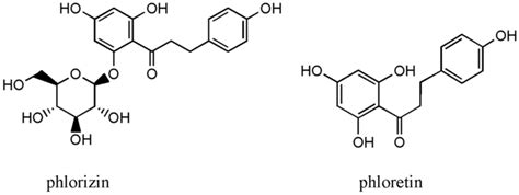 Chemical Structure Of Phlorizin And Phloretin Download Scientific Diagram